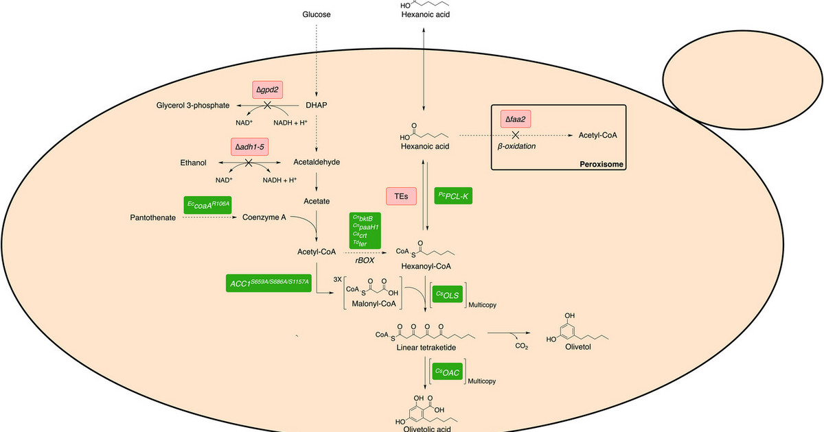 New scientific article published - TB - TU Dortmund